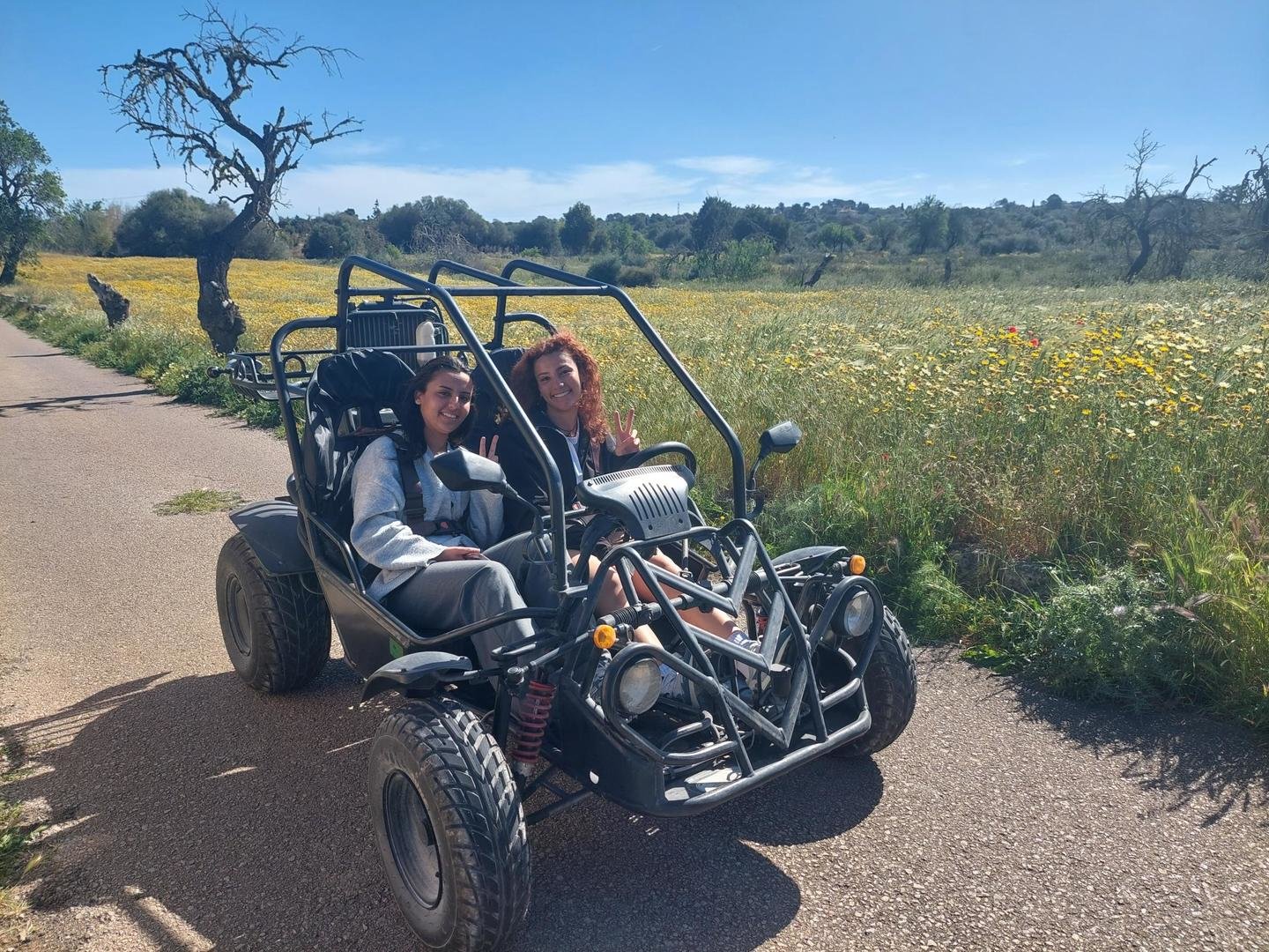 Excursión en Buggy desde Playa de Palma desde 50€